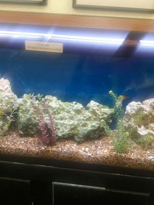 FLOWER MOUND PUBLIC LIBRARY - Updated July 2025 - 25 Photos & 14 ...