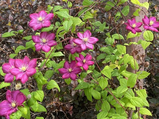 CROSS CANCER INSTITUTE - Updated January 2026 - 11560 University Avenue ...