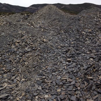 U-DIG FOSSILS - Updated June 2024 - 42 Photos & 23 Reviews - Death ...