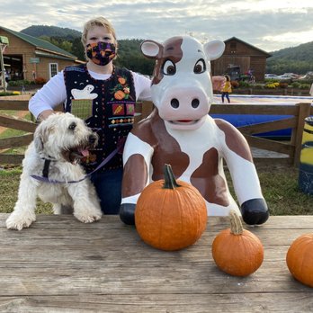 LAYMAN FAMILY FARMS - Updated October 2025 - 56 Photos & 11 Reviews ...