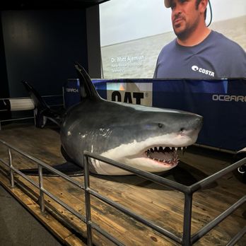 TEXAS STATE AQUARIUM - Updated November 2024 - 1108 Photos & 424 ...