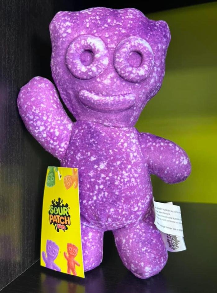 THE SOUR MOOSE - Updated February 2025 - 11 Photos - 102-5116 46 Avenue ...