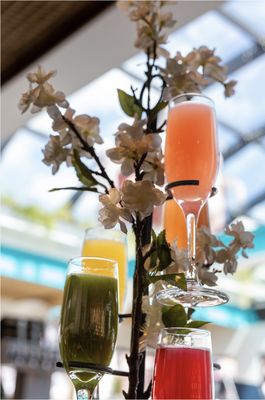 COCO MAYA - Updated 2024 - 1156 Photos & 539 Reviews - 1660 India St ...