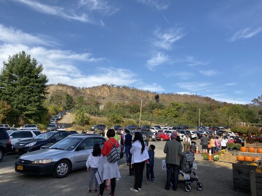 DR DAVIES FARM STAND - 114 Photos & 99 Reviews - 306 Route 304, Congers ...