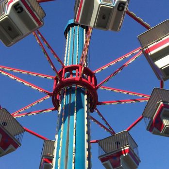 Traders Village - 183 Photos & 105 Reviews - Flea Markets - 7979 N ...