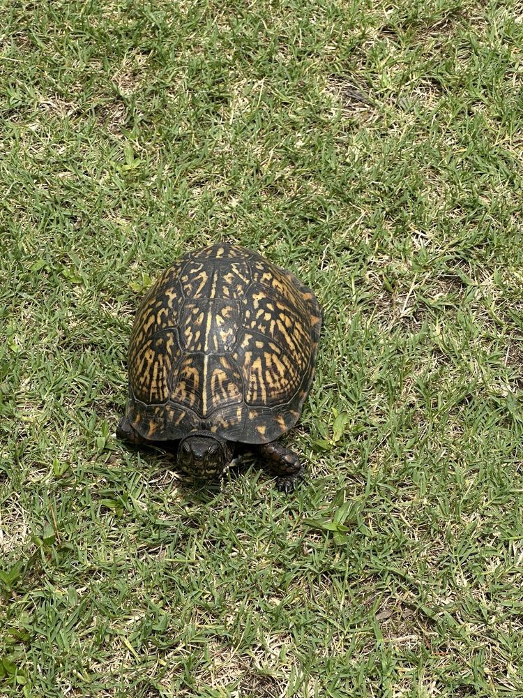 SUNNY HILLS GOLF CLUB - Updated September 2025 - 3634 Country Club Blvd ...