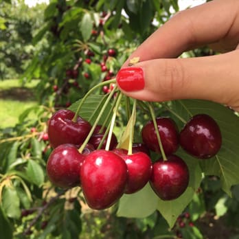 ROWAND’S FARM - Updated June 2024 - 11 Photos & 10 Reviews - 295 ...