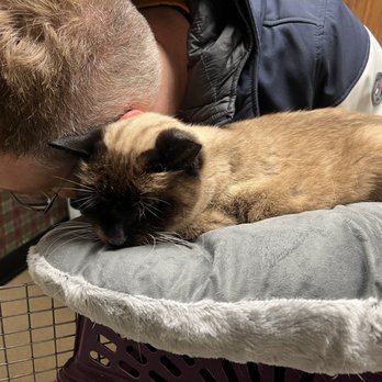 LAYTON ANIMAL HOSPITAL - Updated July 2025 - 10 Photos & 34 Reviews ...