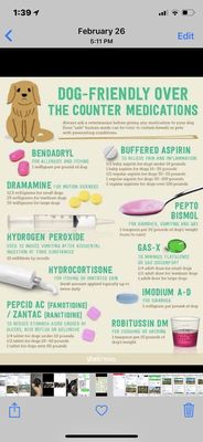 DOGS RULE RESORT - Updated October 2025 - 36 Photos & 47 Reviews - 2501 ...