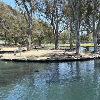 TEWINKLE PARK - Updated January 2026 - 453 Photos & 126 Verified ...