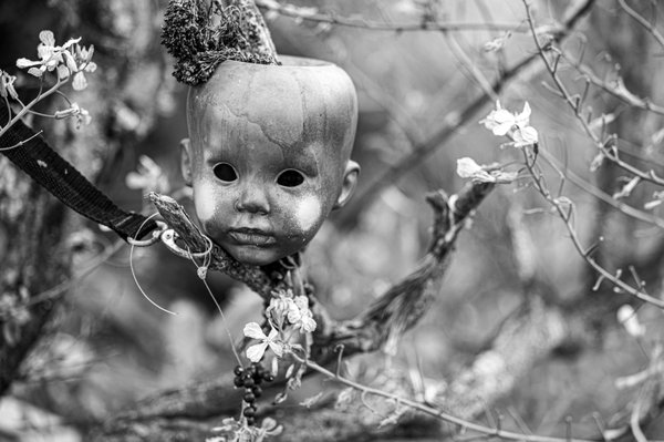 ALBANY BULB - Updated August 2025 - 1000 Photos & 248 Reviews - 1 ...