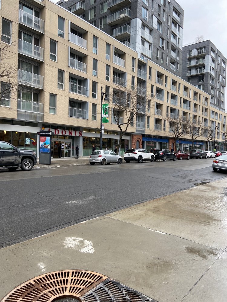 ADONIS - 27 Photos & 59 Reviews - 2173 Rue Sainte-Catherine O, Montréal ...