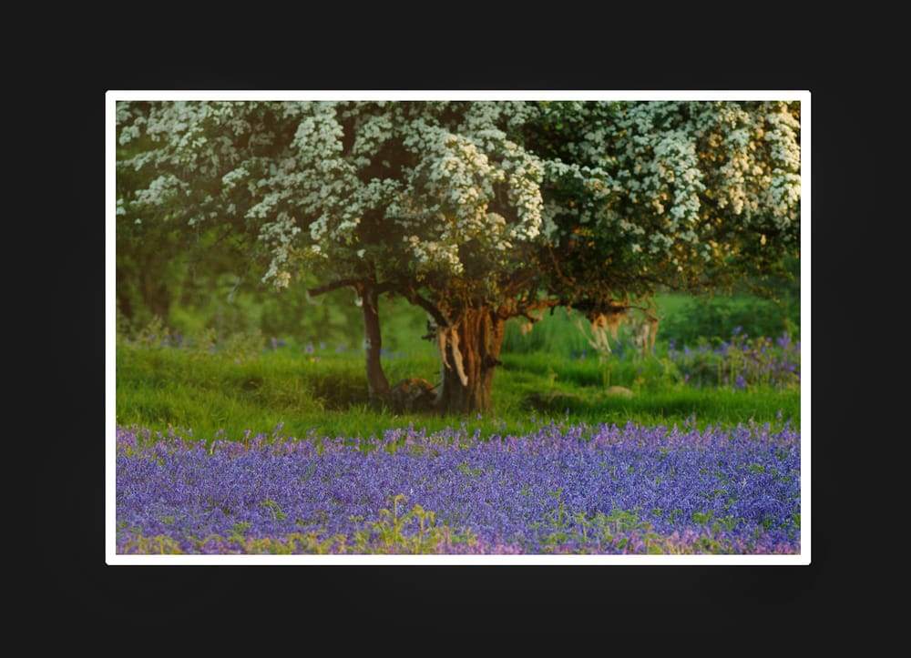 TRAILS AND TALES - Updated December 2024 - Bohernabreena, Bohernabreena ...