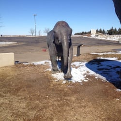 LUBBOCK LAKE LANDMARK - 16 Photos - 2401 Landmark Dr, Lubbock, Texas ...