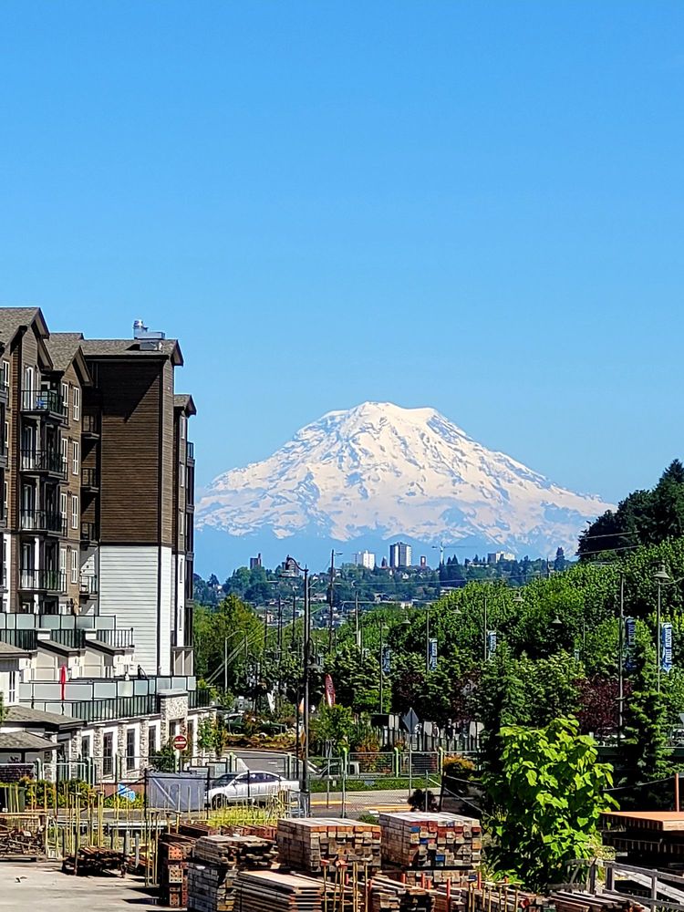 POINT RUSTON FARMERS MARKET - Updated May 2025 - 38 Photos & 15 Reviews ...