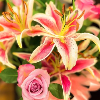 VONS - Updated January 2026 - 168 Photos & 101 Reviews - 2511 Anthem ...