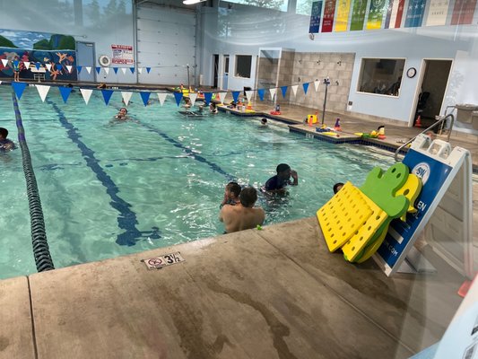 STEVE WALLEN SWIM SCHOOL - Updated 05/2025 - 40 Photos & 197 Reviews ...