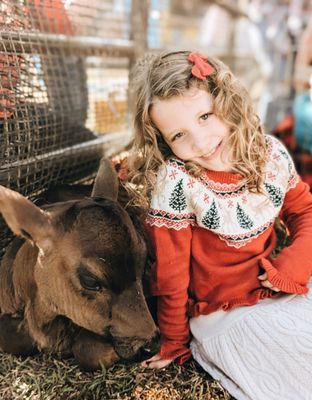 KAYLA DEE’S LITTLE FARM - Updated July 2025 - 60 Photos - Birchwood ...