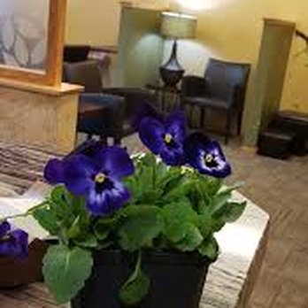 SOUND FAMILY HEALTH - Updated December 2025 - 12 Reviews - 22180 ...