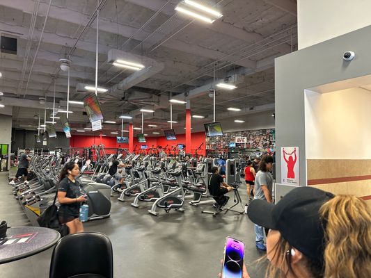 UFC GYM WAIKELE - Updated July 2024 - 224 Photos & 220 Reviews - 94-877 ...