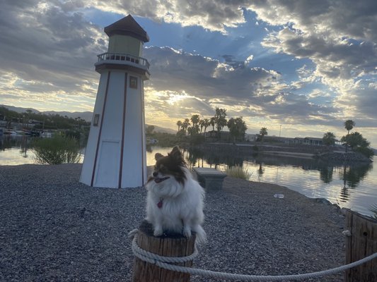 ISLANDER RV RESORT - 43 Photos & 45 Reviews - 751 Beachcomber Blvd ...