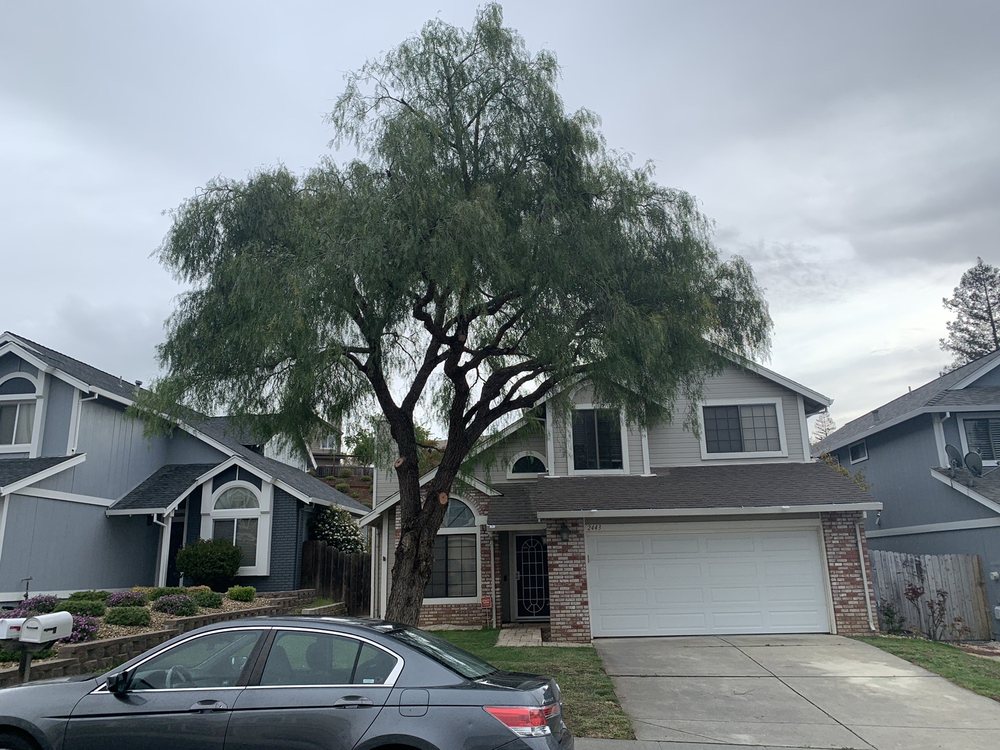 QUALITY TREE SERVICE - Updated July 2025 - 16 Reviews - 873 Meadowlark ...