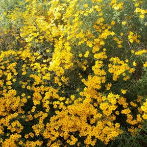 REID PARK - 22 Photos & 12 Reviews - Parks - 800 N Orange St, Riverside ...