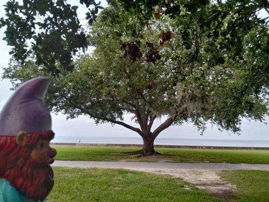 MANDEVILLE LAKEFRONT - Updated December 2025 - 86 Photos & 11 Reviews ...