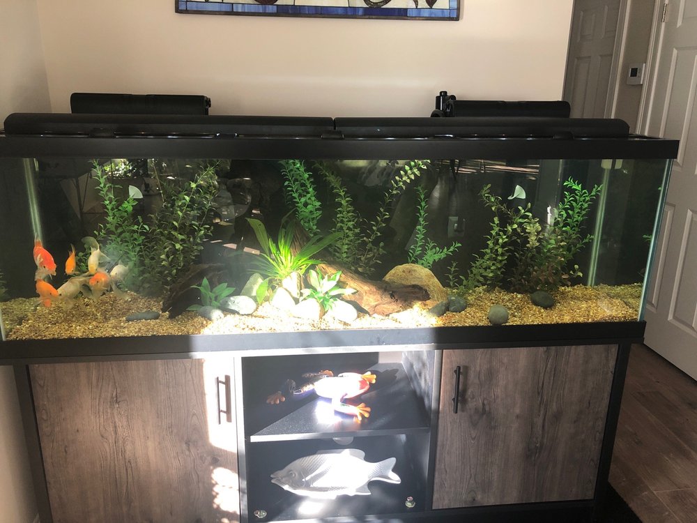 SOMETHING FISHY - 18 Photos & 10 Reviews - 1185 Jefferson Blvd, Warwick ...