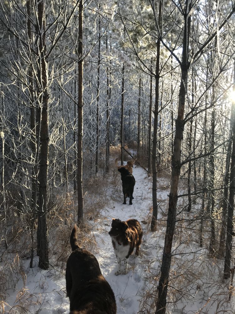 WOLF PACK ADVENTURES - Updated April 2024 - Request a Quote - Saskatoon ...