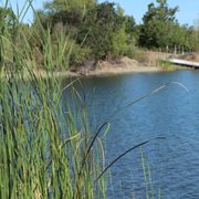 SHADOW CLIFFS REGIONAL RECREATION AREA - 195 Photos & 136 Reviews ...