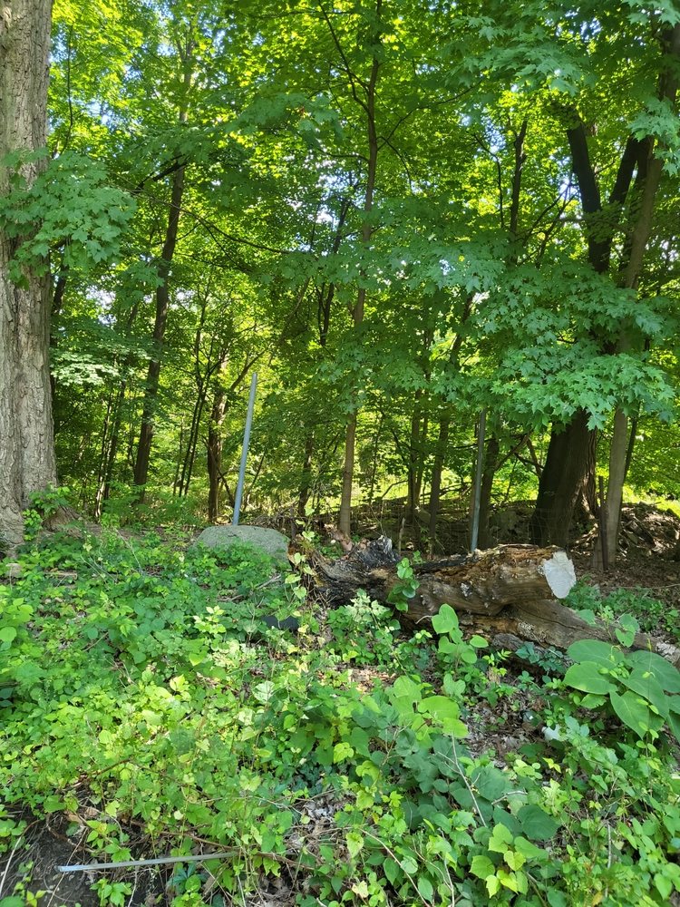 NIKO INTERNATIONAL BROKERAGE - Updated April 2025 - Request Information ...