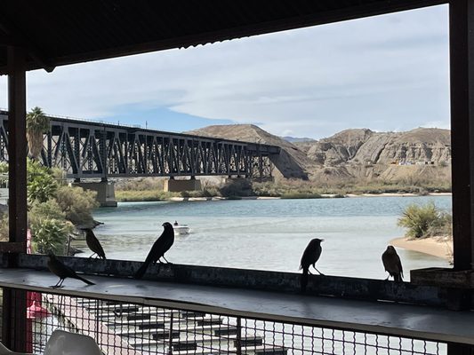 TOPOCK 66 - Updated November 2025 - 516 Photos & 383 Reviews - 14999 ...