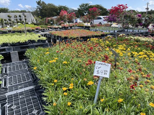 THE BUSHEL STOP - 150 Photos & 42 Reviews - 8596 W Atlantic Ave, Delray ...