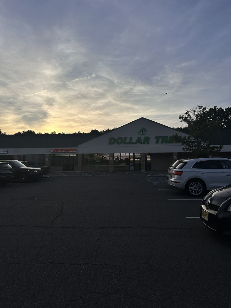 DOLLAR TREE - Updated August 2024 - 17 Photos - 4437 Rte 27, Princeton ...