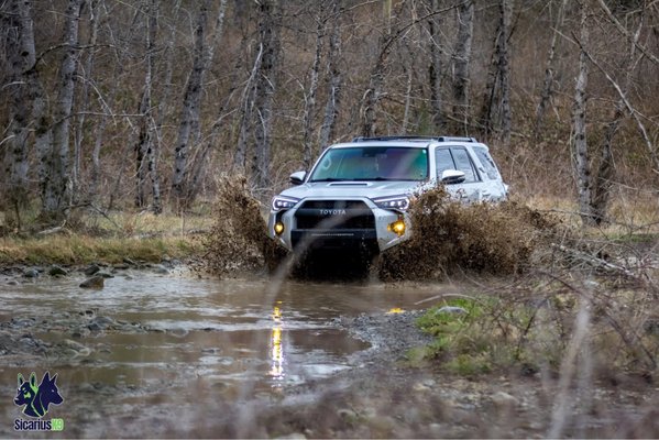 DIRTFISH - Updated January 2026 - 115 Photos & 69 Reviews - 7001 396th ...