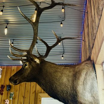 CHAK BALAM MEXICAN RESTAURANT - Updated August 2024 - 172 Photos & 208 ...