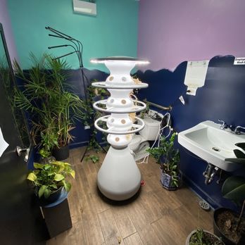 FIRST SIP CAFE - Updated July 2025 - 313 Photos & 188 Reviews - 1057 W ...