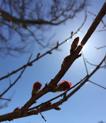 CHEATHAM ANNEX YORKTOWN NAVAL WEAPONS STATION - Updated August 2025 ...