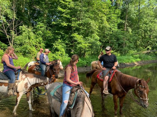 TOP VIEW RIDING RANCH - 91 Photos - 36 Hess Rd, Blairstown, New Jersey ...