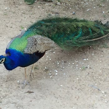 MUSTANG HOLLOW CAMPGROUND - Updated October 2025 - 65 Photos & 11 ...