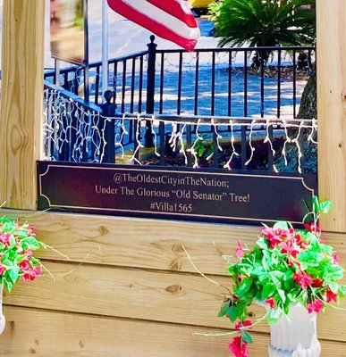 THE OLD SENATOR TREE - Updated January 2025 - 29 Photos & 11 Reviews ...