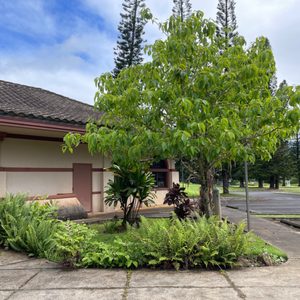 HAWAII STATE PUBLIC LIBRARY SYSTEM - LIHUE - Updated September 2025 ...