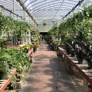 QVC - Updated April 2025 - 2200 Tv Rd, Florence, South Carolina ...