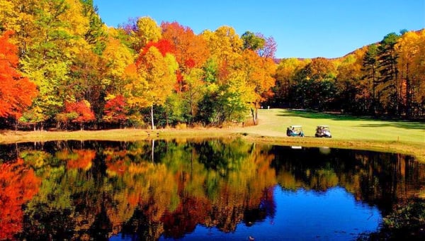 BENT TREE COMMUNITY - Updated December 2025 - 22 Photos - 40 Little ...