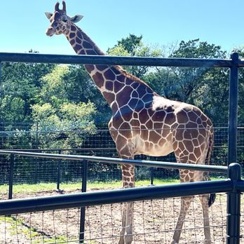 NATURAL BRIDGE WILDLIFE RANCH - Updated January 2026 - 1810 Photos ...