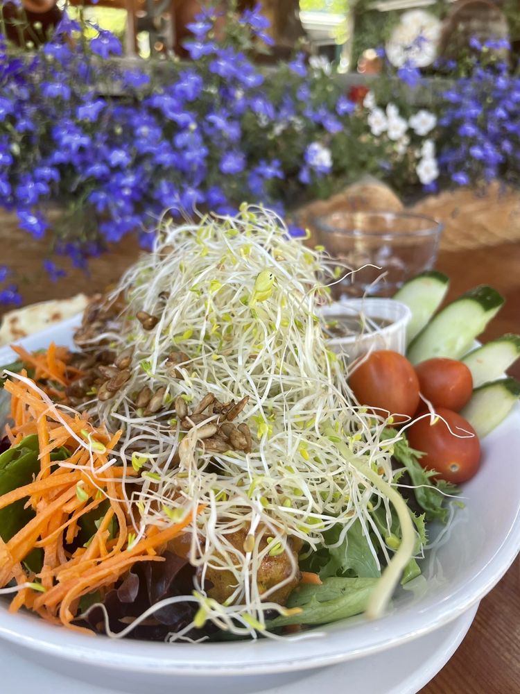 THE TREE-HOUSE CAFE - Updated December 2025 - 86 Photos & 116 Reviews ...