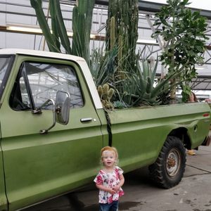 MULHALL’S - 125 Photos & 49 Reviews - Nurseries & Gardening - 3615 N ...