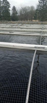 ALLENTOWN FISH HATCHERY - Updated February 2026 - 69 Photos & 28 ...