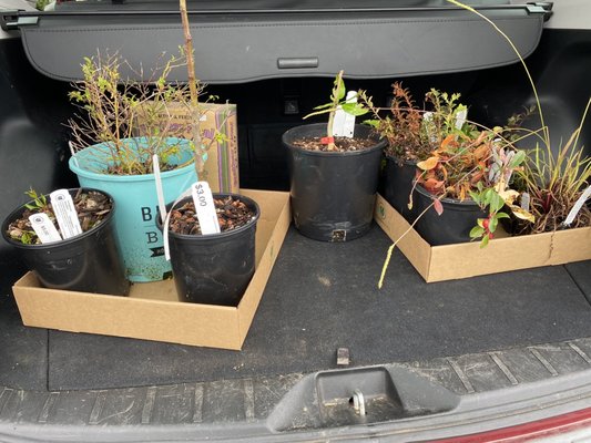 ONE GREEN WORLD - 75 Photos & 64 Reviews - 6469 SE 134th Ave, Portland ...